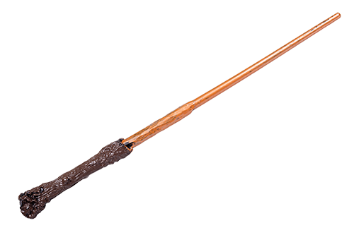 Wizarding World Portraits